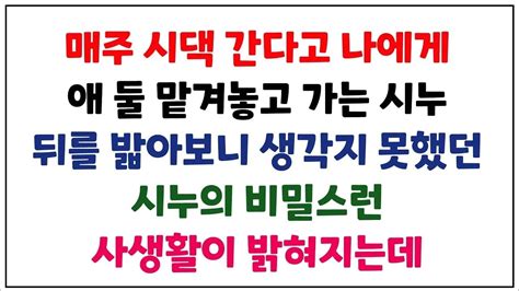 깡냉이톡썰사연 매주 시댁 간다고 나에게 애 둘 맡겨놓고 가는 시누 뒤를 밟아보니 생각지 못했던 시누의 비밀스런 사생활이 밝혀지는데신청사연사이다사연라디오드라마