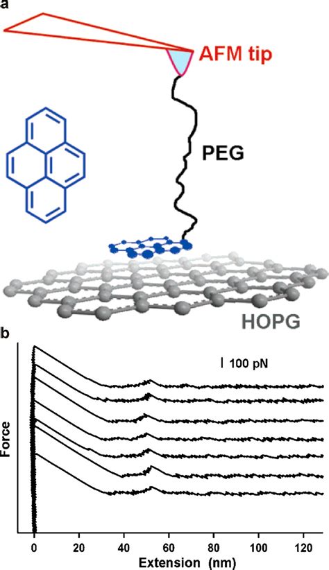 Noncovalent Functionalization Of Graphene And Graphene Oxide For Energy Materials Biosensing