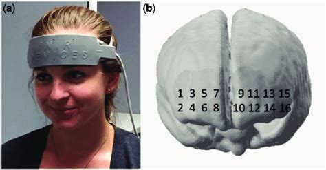 A Placement Of The Fnirs Headband Device On The Participants Head Download Scientific