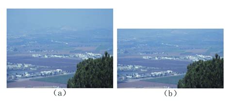 Schechners Initial Polarization Image And Processed Image Without Sky