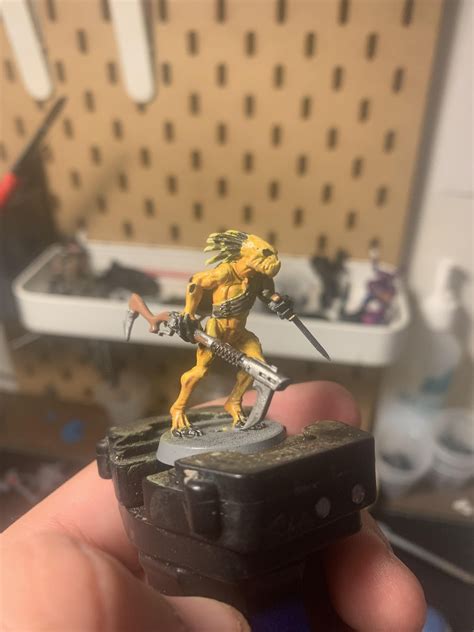 Wip Poison Dart Frog Kroot Rkillteam Wip Poison Dart Frog Kroot Rkillteam