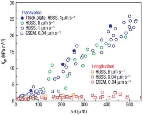 The Crack Size The Fracture Toughness And Orientation Of The Human Download Scientific Diagram