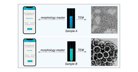 Smartphone Enabled Platform For Direct Recognition Of The Morphology Of