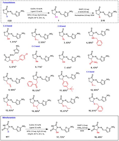 Late Stage Functionalization Of 5 Nitrofurans Derivatives And Their Antibacterial Activities