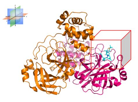 Target Based Virtual Screening Com Autodock Vina Bioinfo