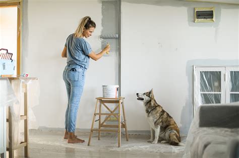 아파트에서 Diy 프로젝트를하는 여자 Diy에 대한 스톡 사진 및 기타 이미지 Diy 가정 생활 개 Istock