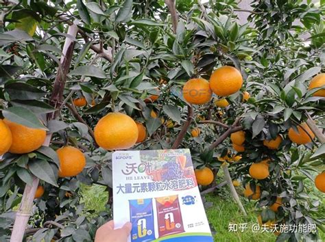 水溶肥可以直接撒施吗？ 知乎