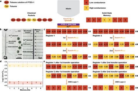 Stochastic Computation Using Two Bit Strings Fabricated From Download Scientific Diagram