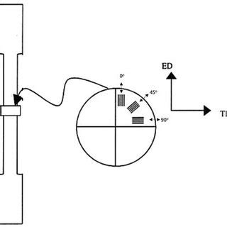 Schematic Representation Of Experimental Scratch Orientations Download Scientific Diagram