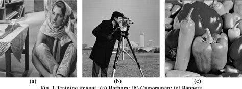 Figure 1 From Clonal Selection Algorithm For Image Compression Semantic Scholar