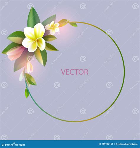 热带花矢量图插图 白羽花花架的载体组成 向量例证 插画 包括有 例证 设计 文化 本质 绿色 249987151