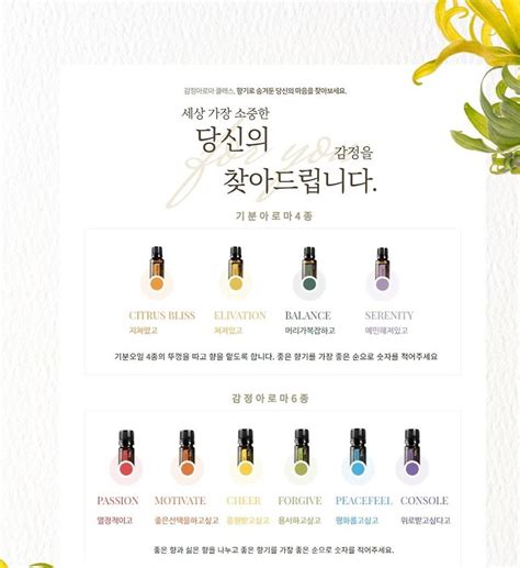 찾아가는 힐링 프로그램 감정아로마 아로마테라피 체험 당진 오일하우스