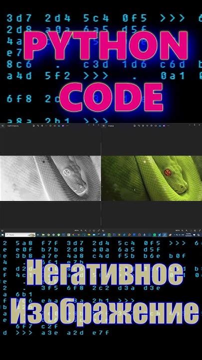 НЕГАТИВНОЕ ИЗОБРАЖЕНИЕ Shorts Coding Programming Negative Image Picture Negativeimage
