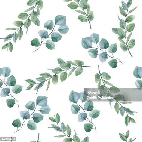 흰색 배경에 고립 된 녹색 유칼립투스 수채화의 나뭇 가지 식물 그림 매끄러운 패턴 탁나 프린트 포장지 복고풍에 대한 스톡 벡터 아트 및 기타 이미지 Istock