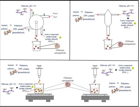 Methods Of Producing Biopolymeric Nanoparticles By Polyelectrolyte Download Scientific Diagram