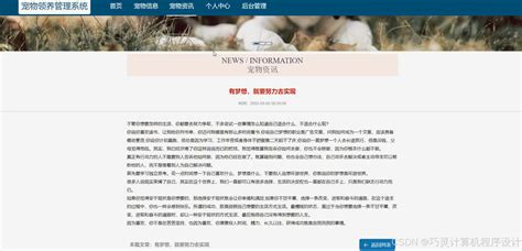 springboot毕设 宠物领养管理系统 程序 论文 csdn博客