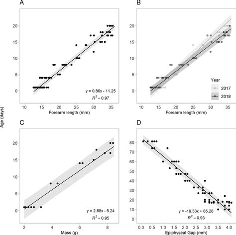 The Early Linear Portion Of Postnatal Growth Used To Estimate Age In Download Scientific