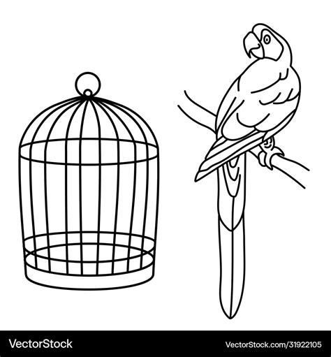 Parrot Drawing Outline