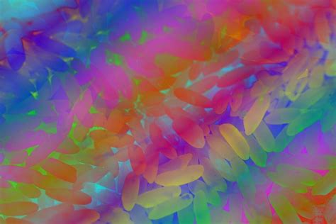 Biometric Data Analysis A Fascinating Comprehensive Guide