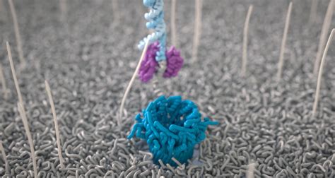 How Nanopore Sequencing Works Oxford Nanopore Technologies