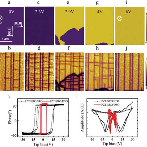 Polarization Switching And Domain Evolution Under External Voltage Pfm Download Scientific