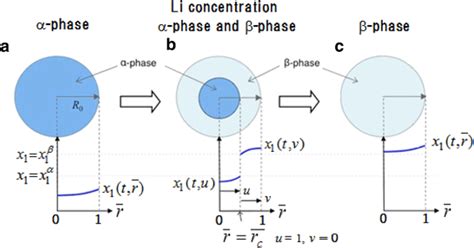 Typical Intercalated Lithium Concentration Profiles Of A LiCoO
