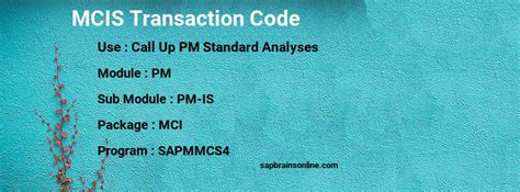 MCIS SAP Tcode For Call Up PM Standard Analyses