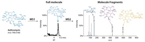Ms1 Vs Ms2 Or Both — Ometa Labs
