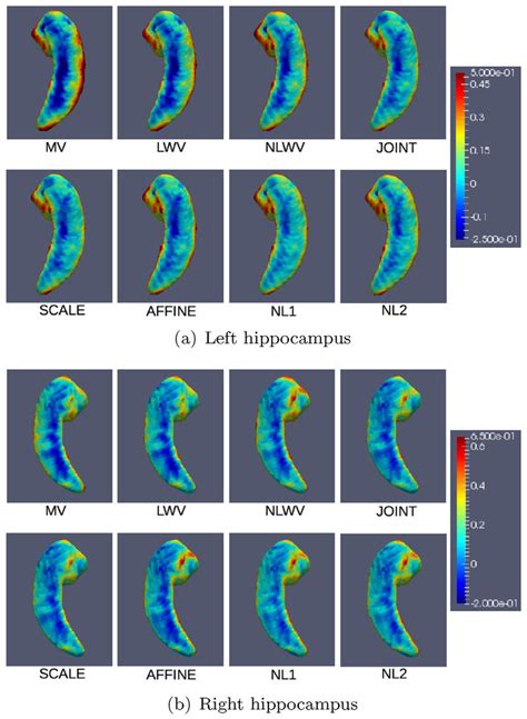 Spatial Distribution Of The Average Signed Distance Between Estimated Download Scientific