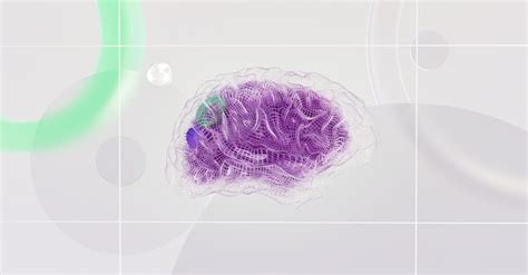 The Difference In Sensation In The Brain Between Hypercapnia And