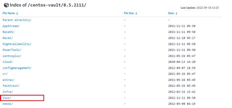 centos 8 的安装（官方安装、清华大学开源软件镜像站、阿里云镜像、网易镜像下的安装步骤） centos8镜像 csdn博客