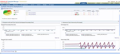 Monitoring The Topology Using Oracle Enterprise Manager Grid Control