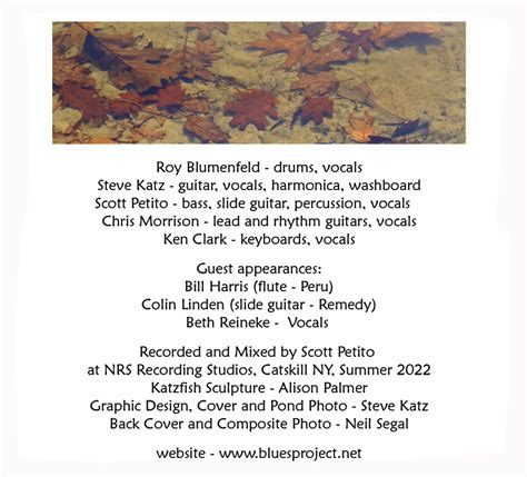 Cds The Blues Project