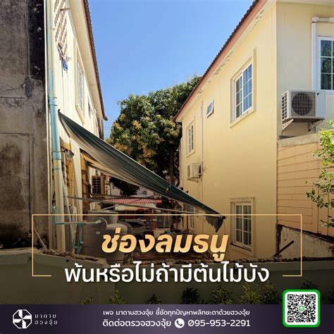 มาดามฮวงจุ้ย ช่องธนูลมพ้นหรือไม่ถ้ามีต้นไม้บัง รอบบ้านโดนช่องธนูลม แต่ว่ามีต้นไม้ใหญ่บัง แบบ