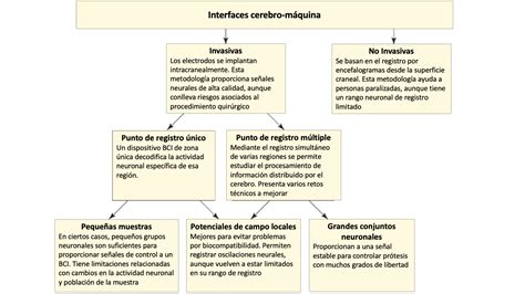 Las Interfaces Cerebro Máquina ¿un Capricho De Elon Musk O El Futuro De La Neurotecnología