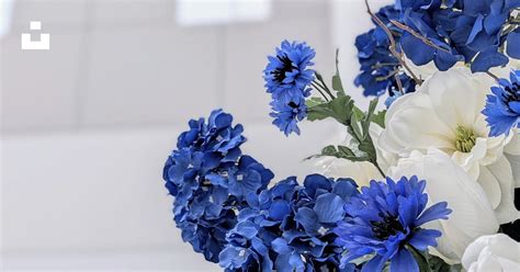 파란색과 흰색의 꽃이 밝은 공간을 장식합니다 사진 Unsplash의 무료 꽃 이미지