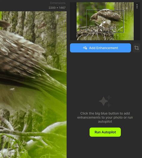 Ps图像降噪锐化无损放大win汉化版 霸道cg资源网