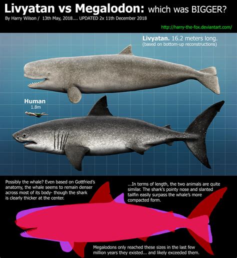 Livyatan Melvillei Vs Megalodon By Harry The Fox On Deviantart