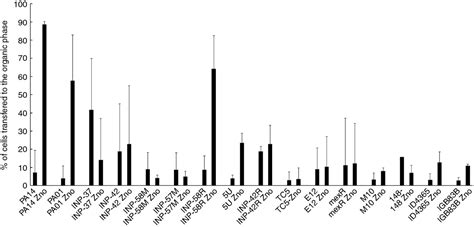 Jorge Galdino Ferreira Fr