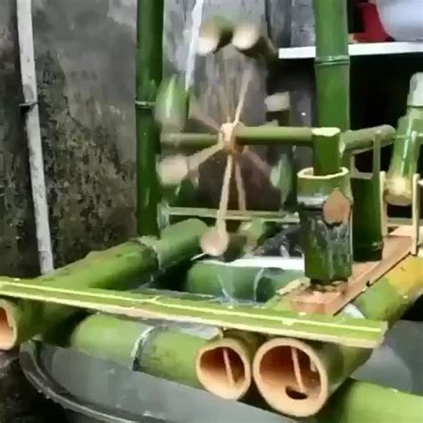 Angela Chapi Posted On Linkedin