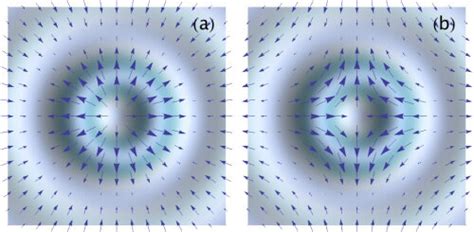 Complex Polarization Patterns Of A Co Rotating Radially Polarized Download Scientific Diagram