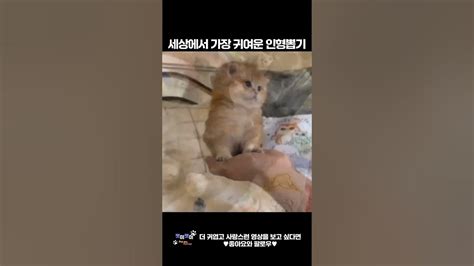 세상에서 가장 귀여운 인형뽑기 Shorts Youtube