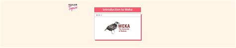 Weka In Data Mining Scaler Topics