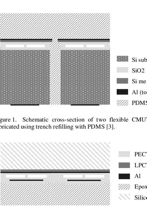 Schematic Cross Section Of A Flexible Cmut Array Assembly Based On The Download Scientific