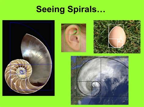 541 interactive ppt fibonacci sequence