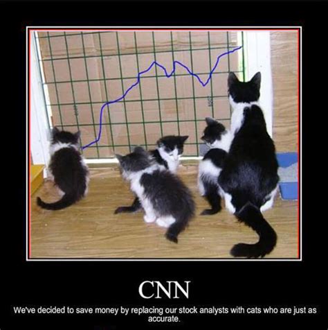Humor Jokes Funny Memes Memefree