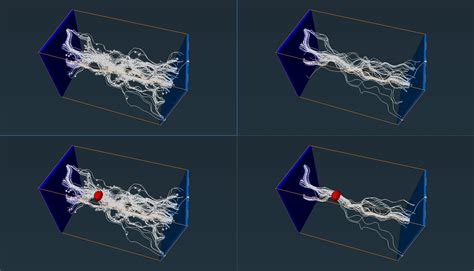 Xtra Library For Thermo Scientific Amira Avizo And Pergeos Software Reconstruct Spatial Graph