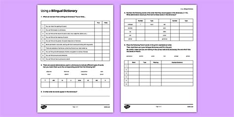 Editable Using A Bilingual Dictionary Teacher Made