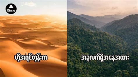 သဲကန္တာရကြီးမှ ကမ္ဘာ့အကြီးဆုံံးလူလုပ်သစ်တောကြီီးအဖြစ်သို့ Youtube