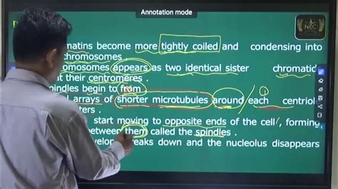 Chapter 5 Part 2 Youtube